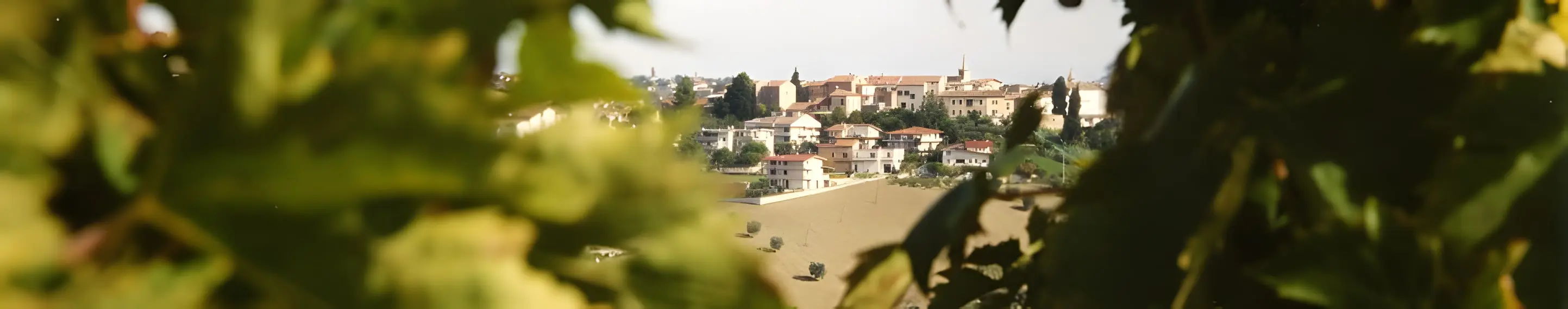 Comune di Torano Nuovo